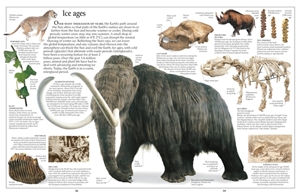 DK Prehistoric Life : The Definitive Visual History of Life on Earth