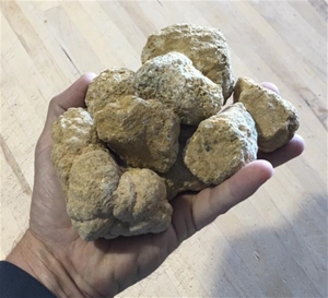 Single Break Open Whole Moroccan Geode - Crystal Centers 2"